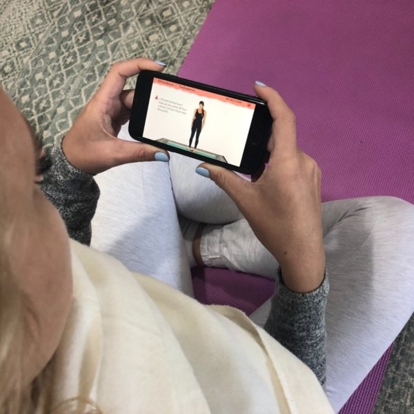 Yoga Toolbox Online version and E-book – Integrative Yoga Therapy