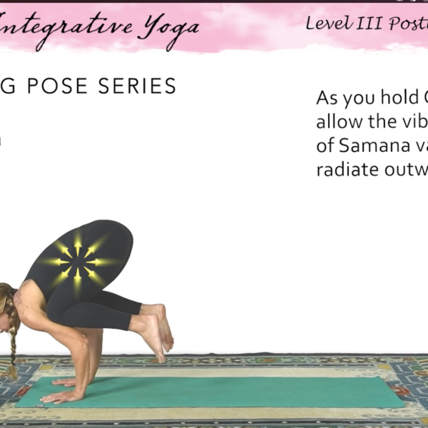 Yoga Toolbox Online version and E-book – Integrative Yoga Therapy