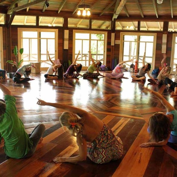 Integrative Yoga Therapy